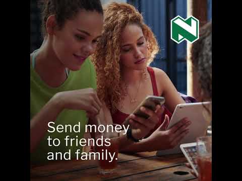 Instant payments and transfers with the Nedbank Money app.