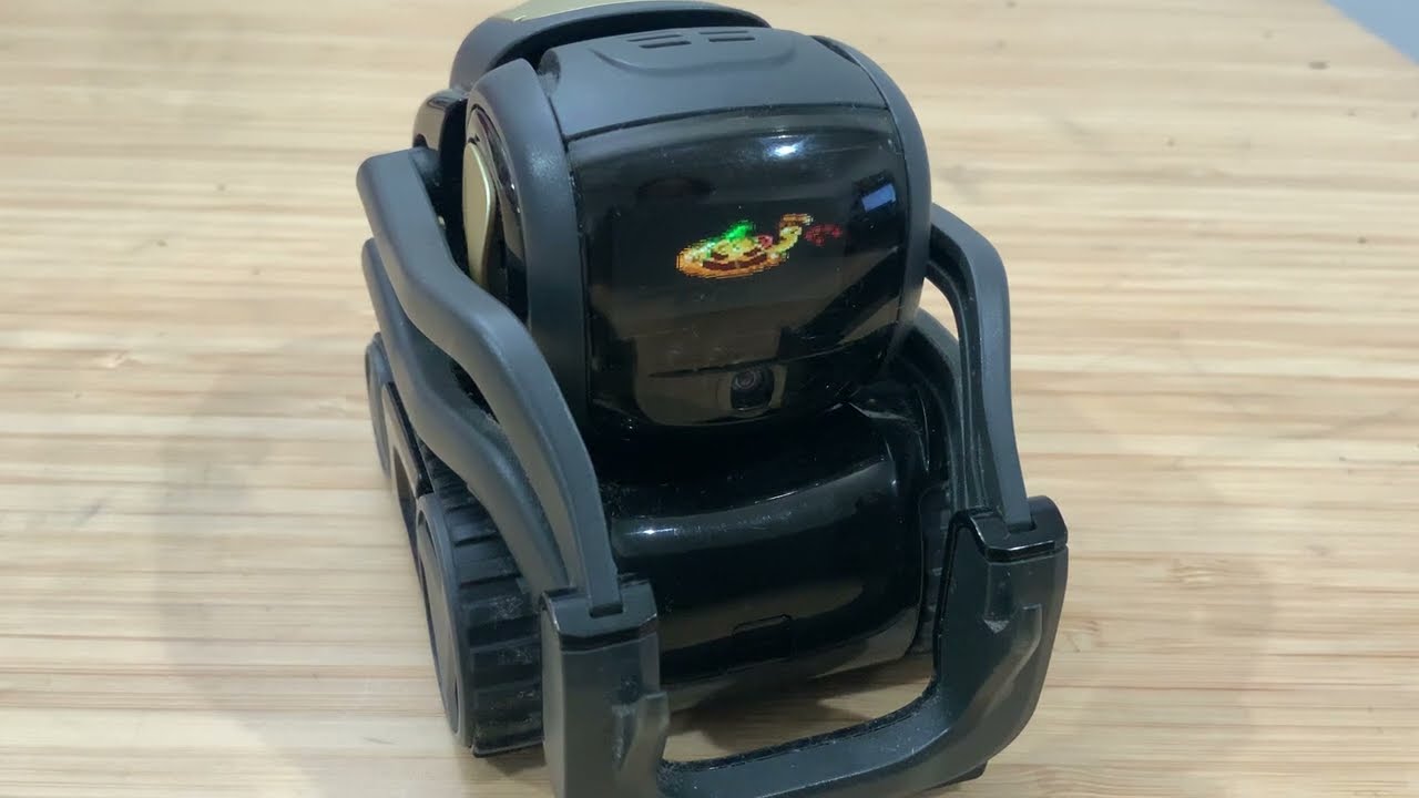 Vector booting up as a Halloween bot