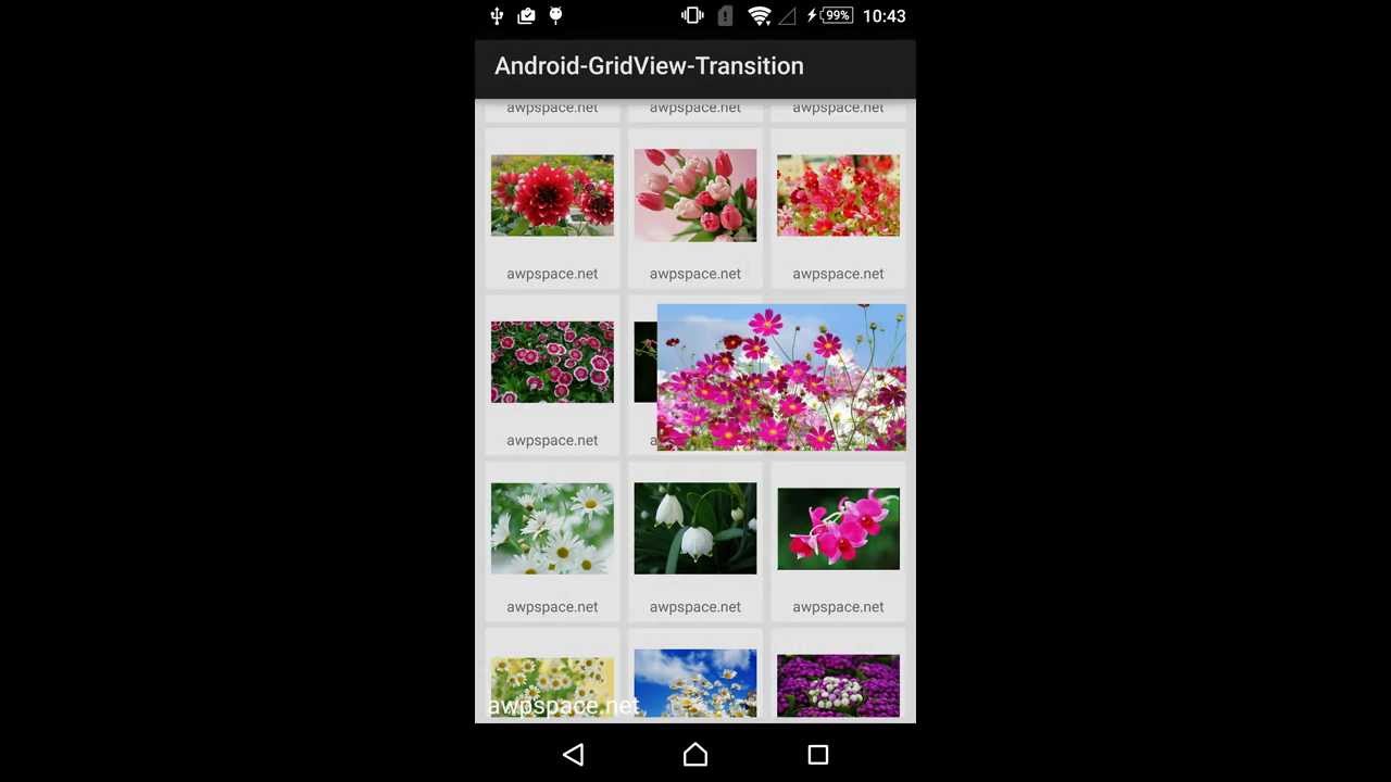 Android transition for gridview image gallery
