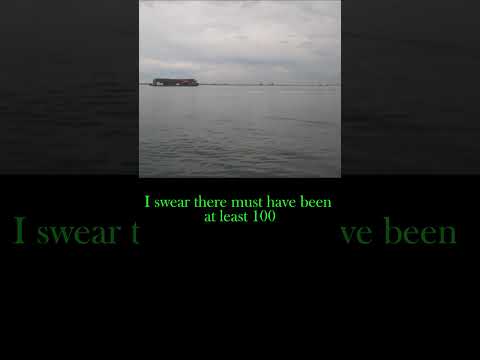 When You Expect Paradise And Get Container Ships .Sailing from Johor to Batam Island .