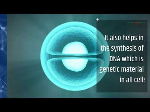 What is Vitamin-B12? Why Vitamin B12 test is performed? Learn About Serum Vitamin B12 Test - 2019