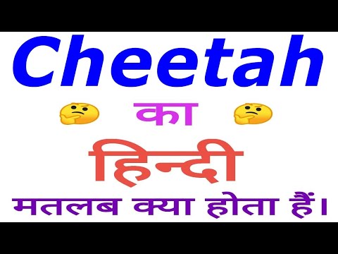 Cheetah meaning in hindi | Cheetah in hindi | Cheetah in hindi meaning