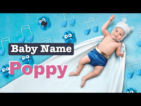 Poppy - Girl Baby Name Meaning, Origin and Popularity