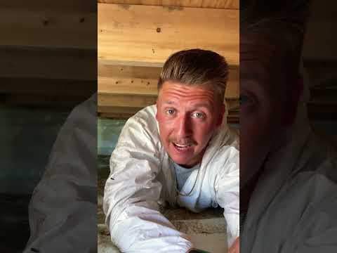 Is Crawlspace Encapsulation a Waste of Money?