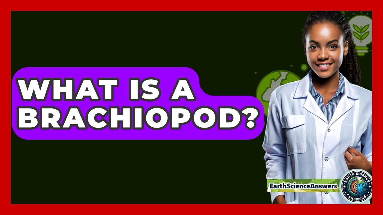 What Is A Brachiopod? - Earth Science Answers