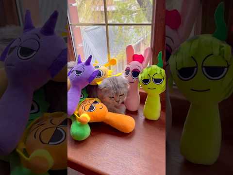 Sprunki cute plushies #sprunki #cat #plush #incredibox #pinki #vineria