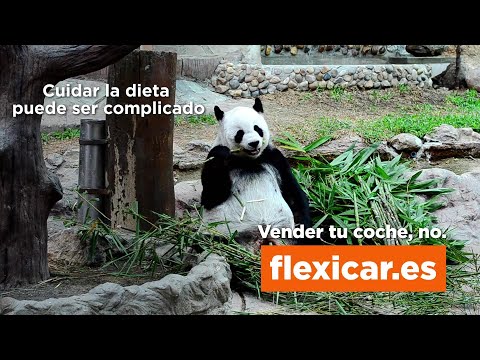 ✅ Vende tu coche en Flexicar ✅