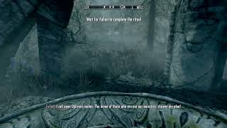 Falcon Has Finally Reached CHIM at Skyrim Special Edition Nexus - Mods ...