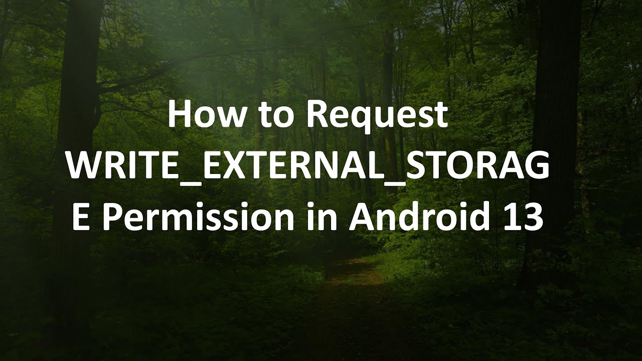 How to Request WRITE_EXTERNAL_STORAGE Permission in Android 13
