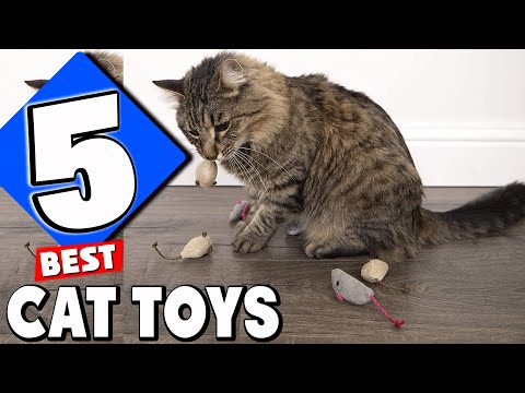 Best Cat Toy In 2025- Top 5 Cat Toys Review