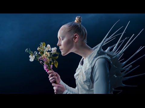 DEVOTION profile | DEVOTIONプロフィール | vkgy (ブイケージ)