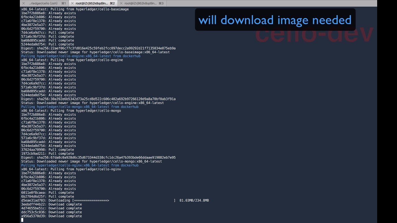 Hyperledger Cello Quick Start
