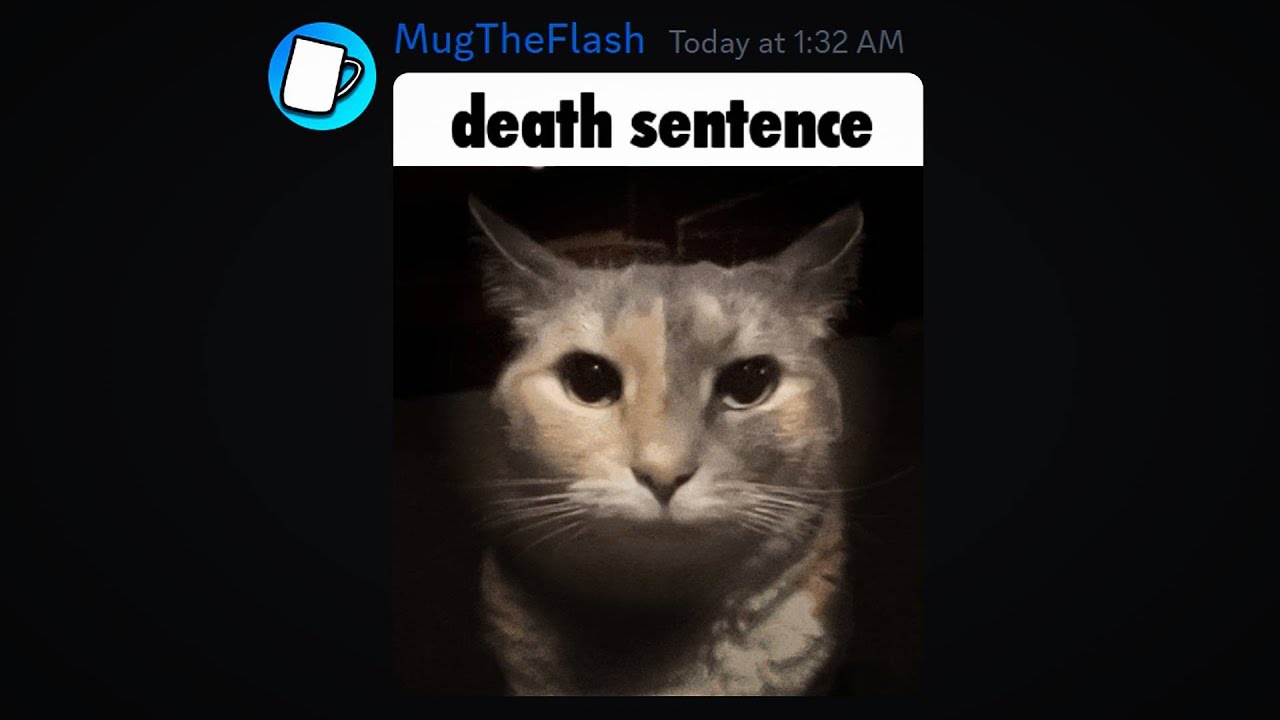 Discord’s Most INSANE Gifs