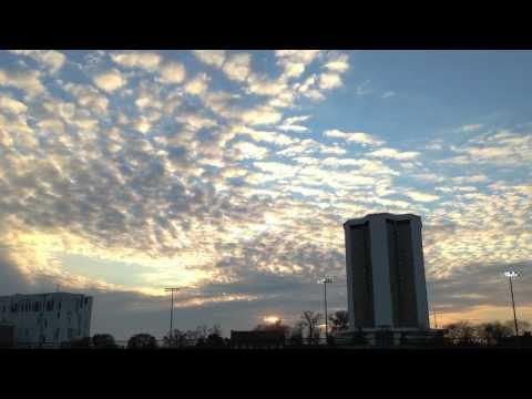 Experience OSU For a Day!