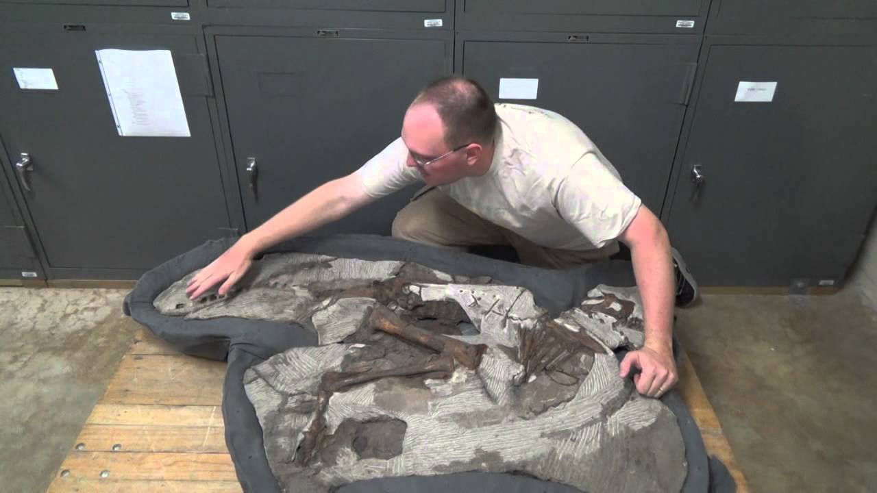 A Tour of the Skeleton of 