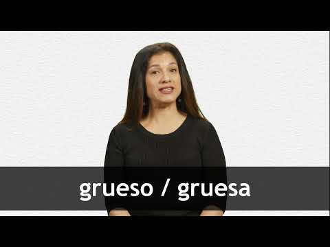 Traducción en inglés de “GRUESO” | Collins Diccionario español-inglés