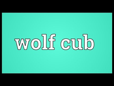 Wolf cub Meaning