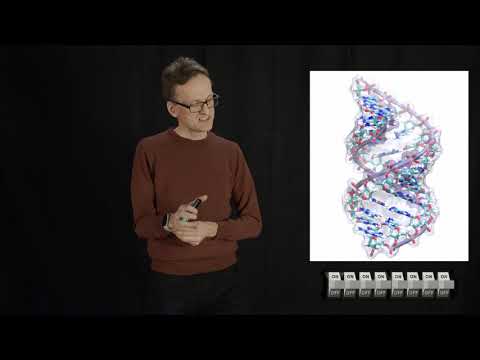 Lecture 01, concept 07: Information contents in DNA