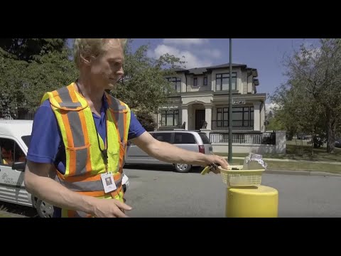 #CityWeLove Spotlight: Water Quality