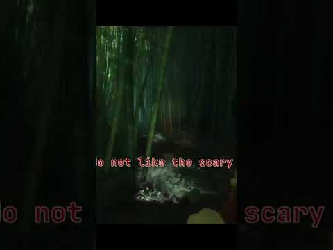 Steam Community :: Video :: Scary Bamboo Forest - Shadow Warrior Short