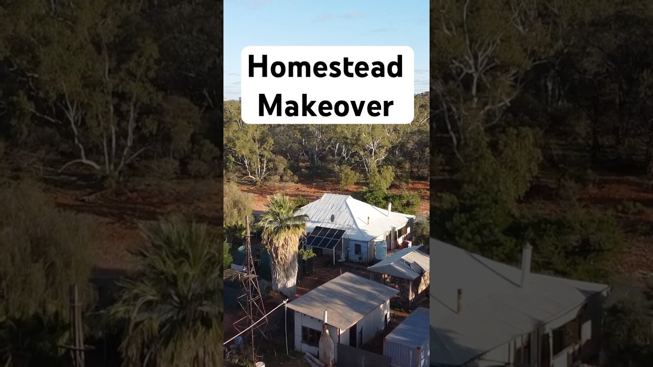 Abandoned Homestead Makeover: Living Off Grid in Outback Australia