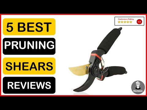 ✅ Best Pruning Shears For Indoor Plants In 2023 ✨ Top 5 Tested & Buying Guide