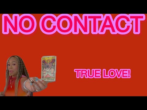 NO CONTACT: YOU ARE THEIR TRUE LOVE & THEY KNOW THIS IS REAL! UNDECIDED ON BEING IN A RELATIONSHIP
