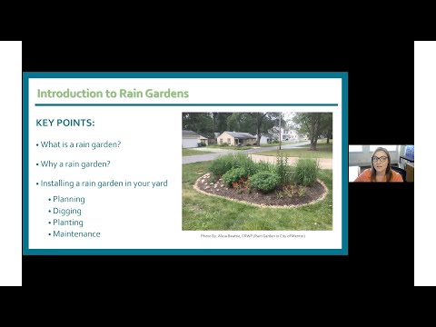 How (and Why) to Plant a Rain Garden