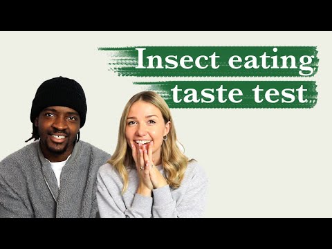 What do insects taste like? | Blind test | According To Jess