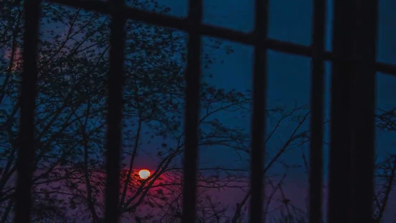 The Top 5 Cleaning Tools You Absolutely Need In Your Home