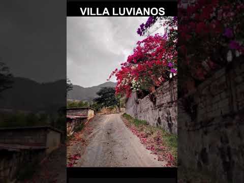 Videos de Luvianos Estado de México | Mi Municipio