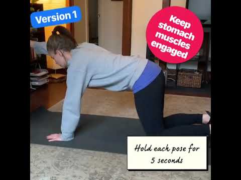 Help engage your core muscles and protect your low back, With Dr. Kristen at Van Every In Royal Oak