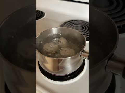 Video #1 Moist Heat Cooking Methods