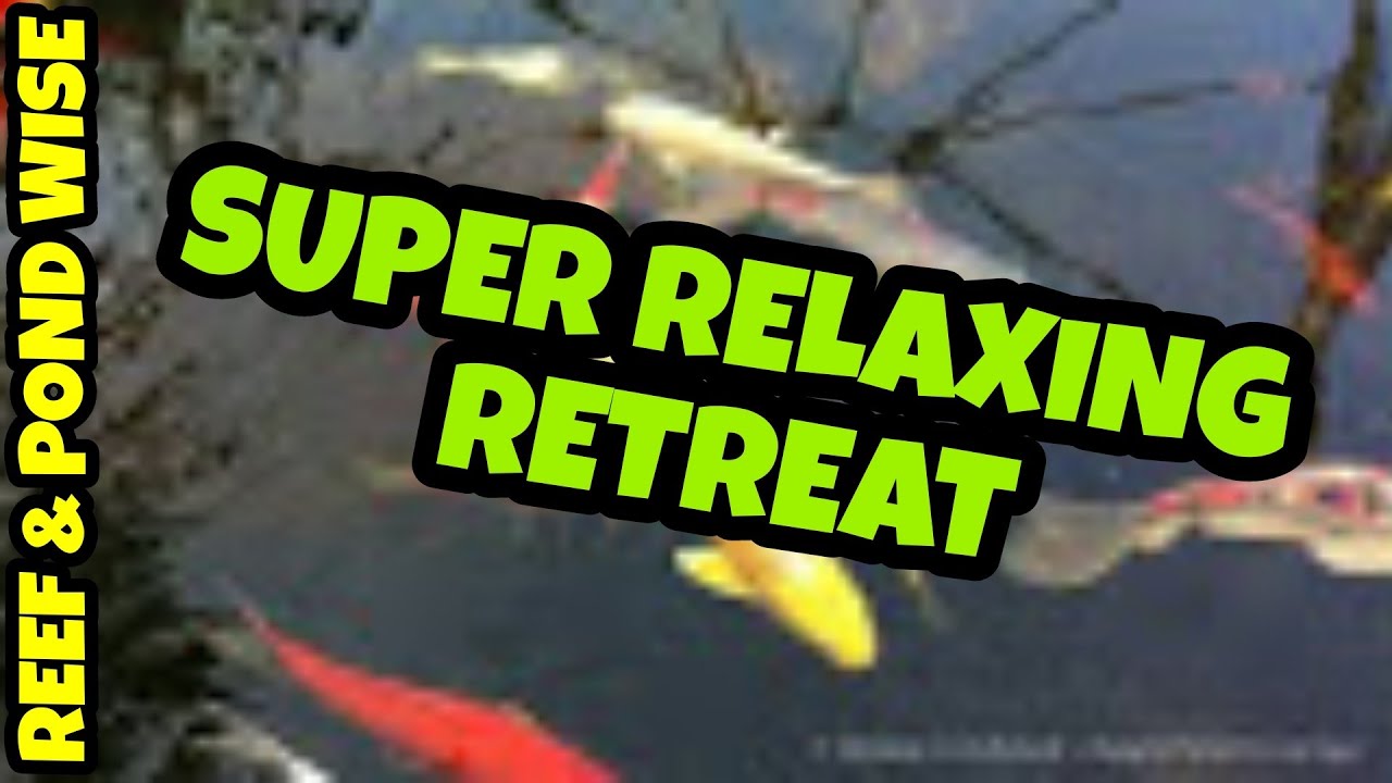 RELAXING backyard RETREAT.