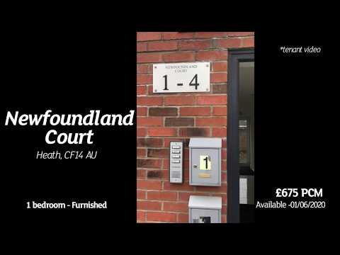 Newfoundland court online viewing...