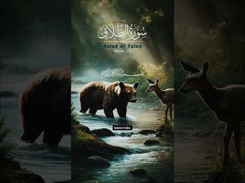 What is the summary of Surah Talaq