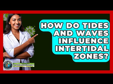 How Do Tides And Waves Influence Intertidal Zones? - Earth Science Answers