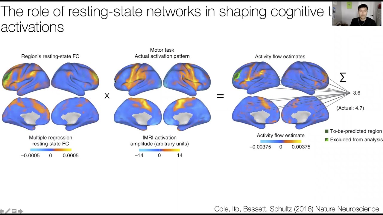 Takuya Ito (Rutgers U) B.R.A.I.N. keynote  