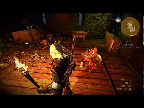Steam Community :: Video :: The Witcher 3 bug