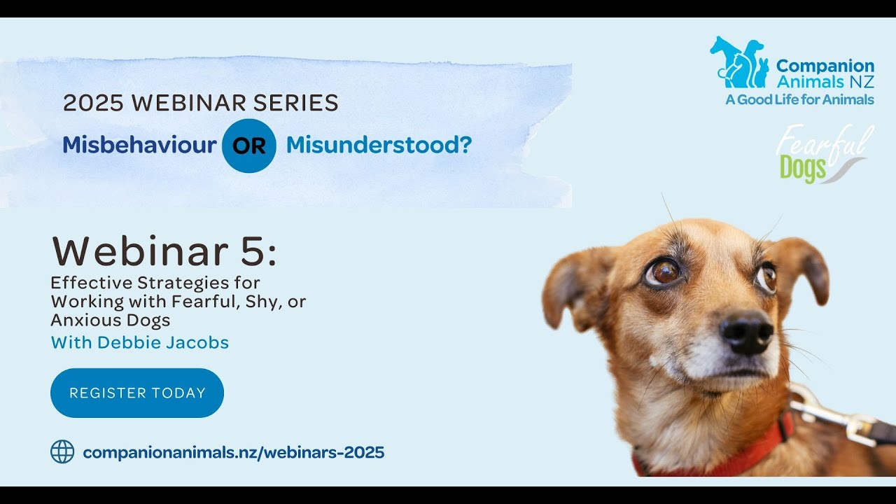 Misbehaviour or Misunderstood? Webinar 5: Strategies for Working with Fearful, Shy, or Anxious Dogs