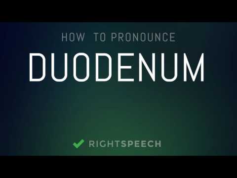 Duodenum - How to pronounce Duodenum