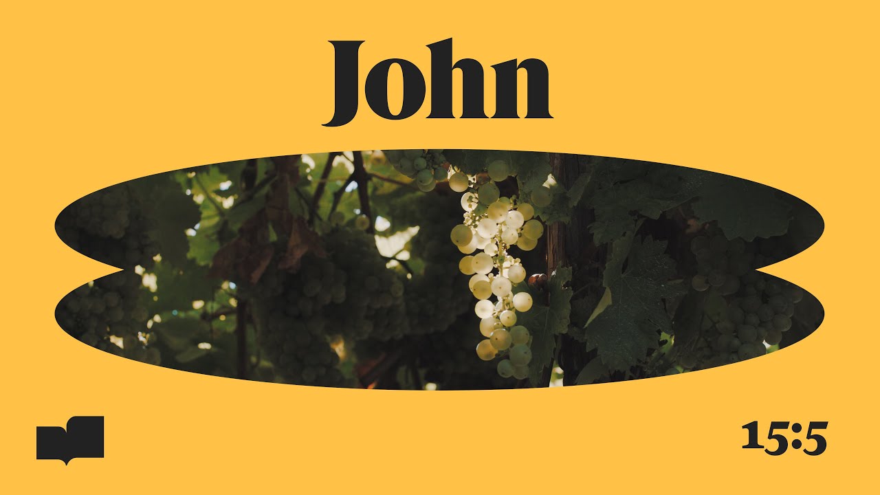 Verses - John 15:5 (Official Lyric Video)