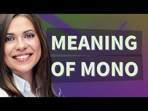 Mono | meaning of Mono