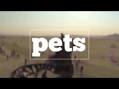 How do you spell pets?