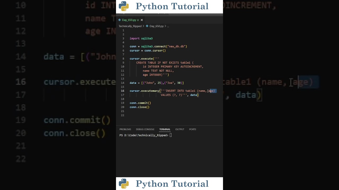 Creating SQLite Databases With Python | Python Tutorial