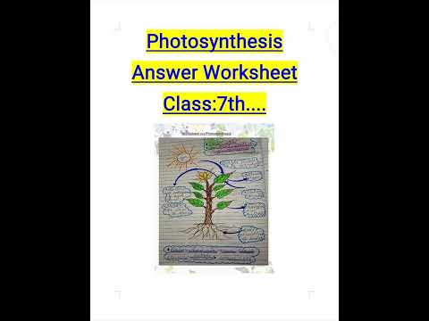 Worksheet Photosynthesis (Answers)#Class7th...