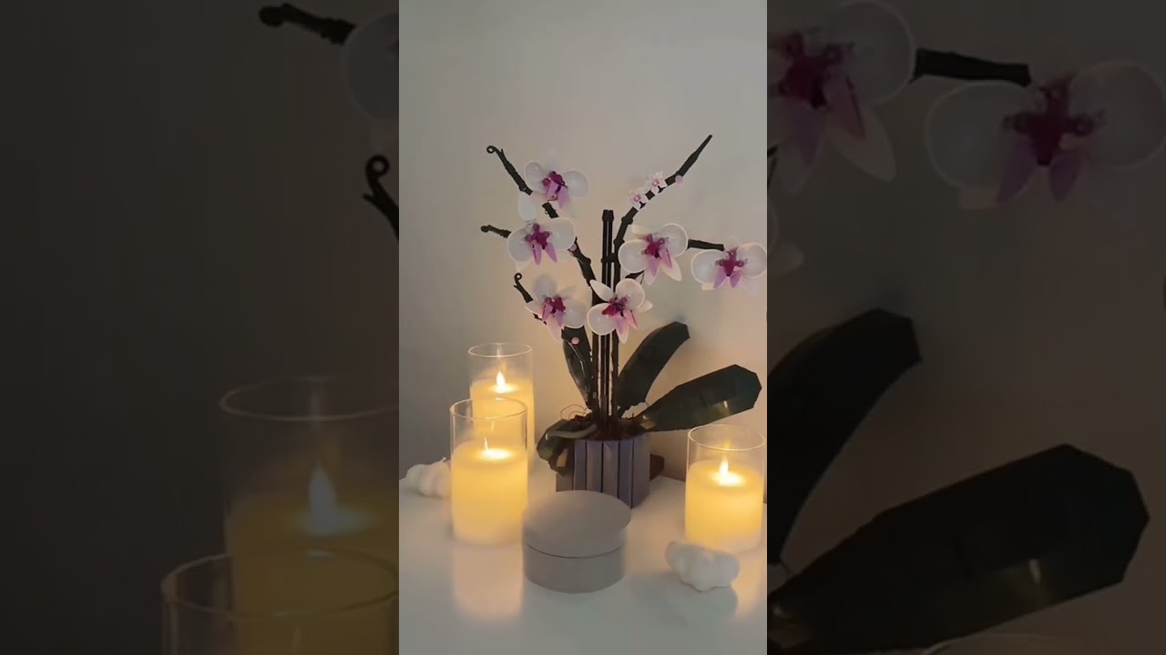 Room Tour! #roomtour #room