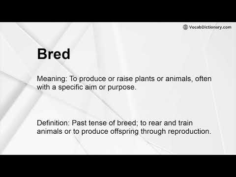 Bred Meaning