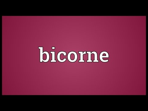 Bicorne Meaning