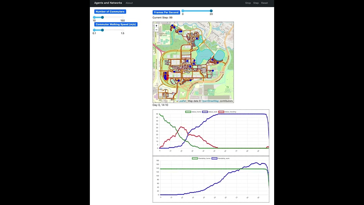 Agents and Networks Model